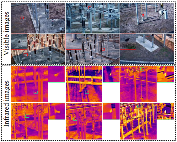 Tiny bird detection and location guided by heterogeneous binocular ...