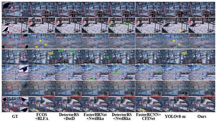 Tiny bird detection and location guided by heterogeneous binocular ...